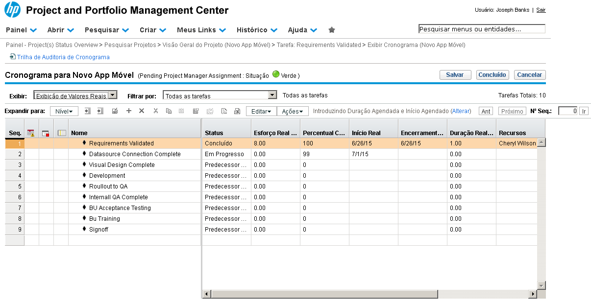 Hawk - Perfil Gerentes de Projeto Completo
