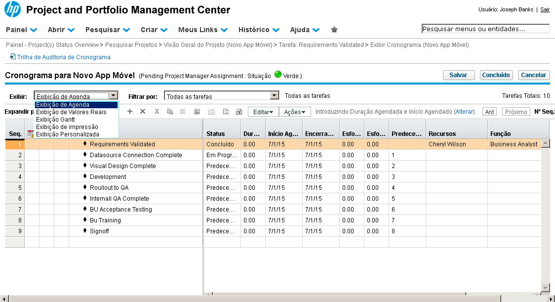 Hawk - Perfil Gerentes de Projeto Completo