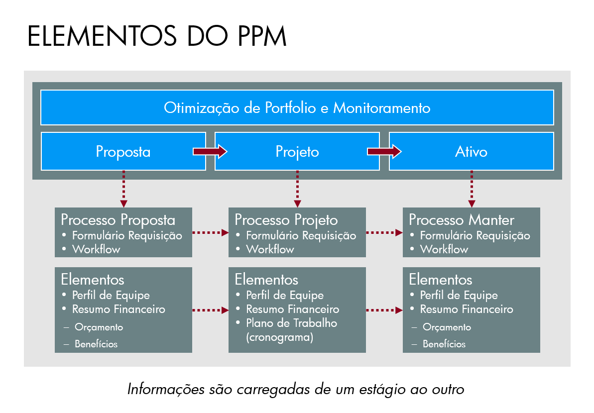Hawk – Perfil Gerentes de Projeto